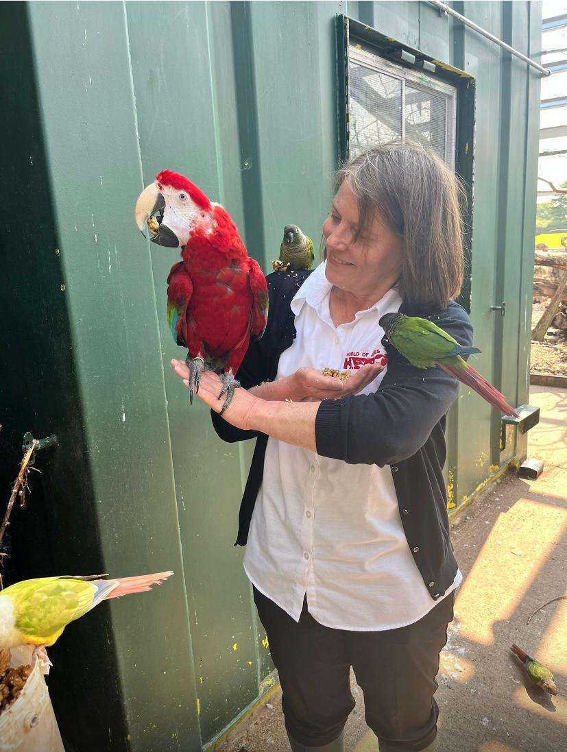 World of James Herriot Museum Sponsors Parrot at Local Morndyke Parrot Sanctuary - World of ...