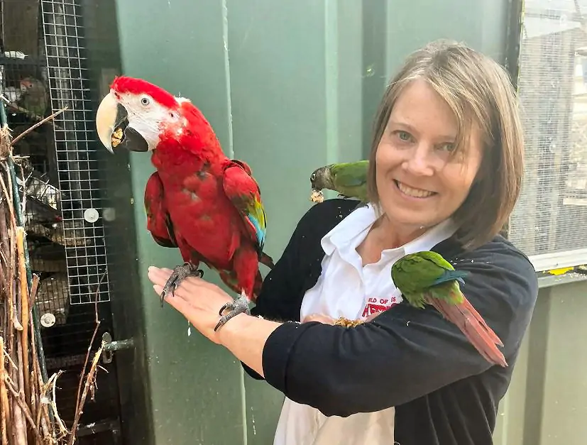 World of James Herriot Museum Sponsors Parrot at Local Morndyke Parrot ...